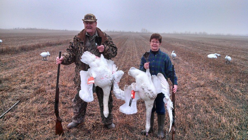 NC duck hunt, North Carolina Duck hunting Guide, Swan Hunting