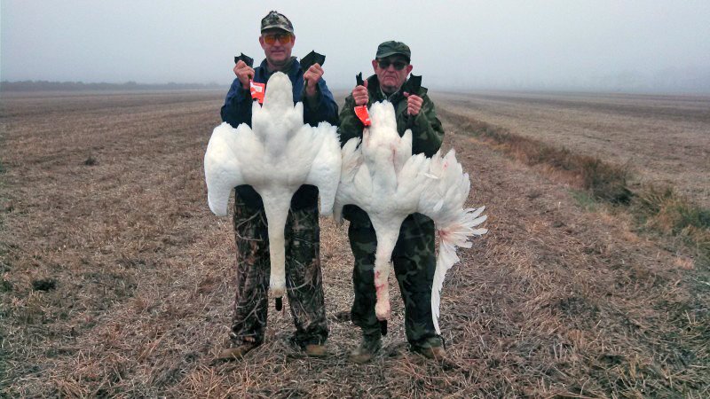 NC duck hunt, North Carolina Duck hunting Guide, Swan Hunting