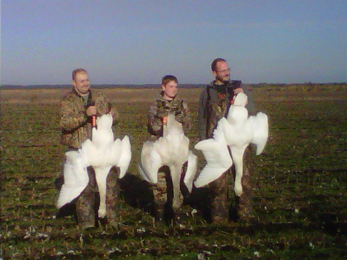 NC duck hunt, North Carolina Duck hunting Guide, Swan Hunting