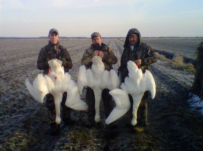 NC duck hunt, North Carolina Duck hunting Guide, Swan Hunting