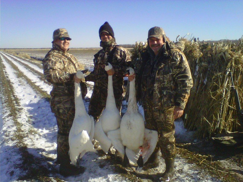 NC duck hunt, North Carolina Duck hunting Guide, Swan Hunting