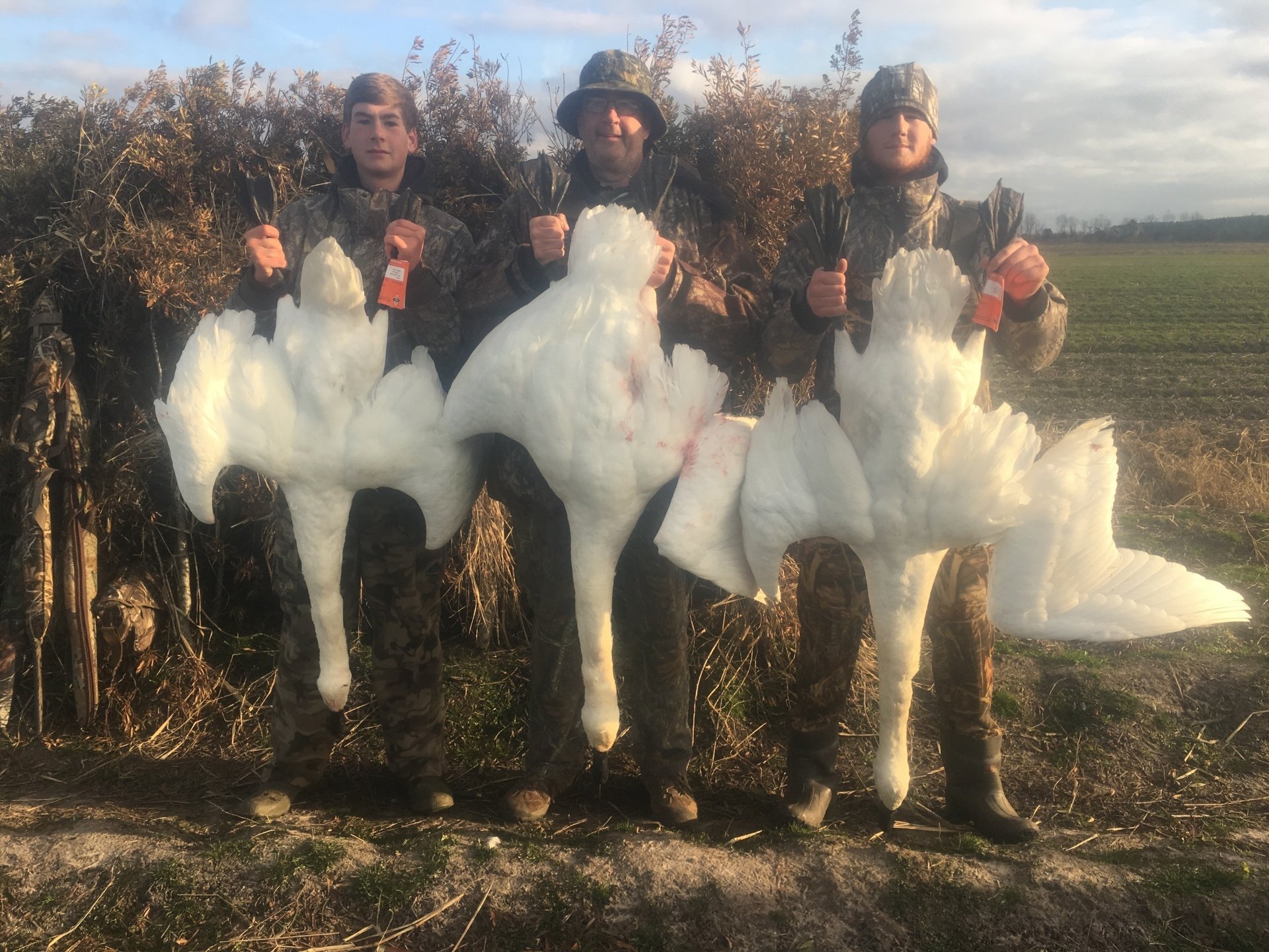 NC duck hunt, North Carolina Duck hunting Guide, Swan Hunting