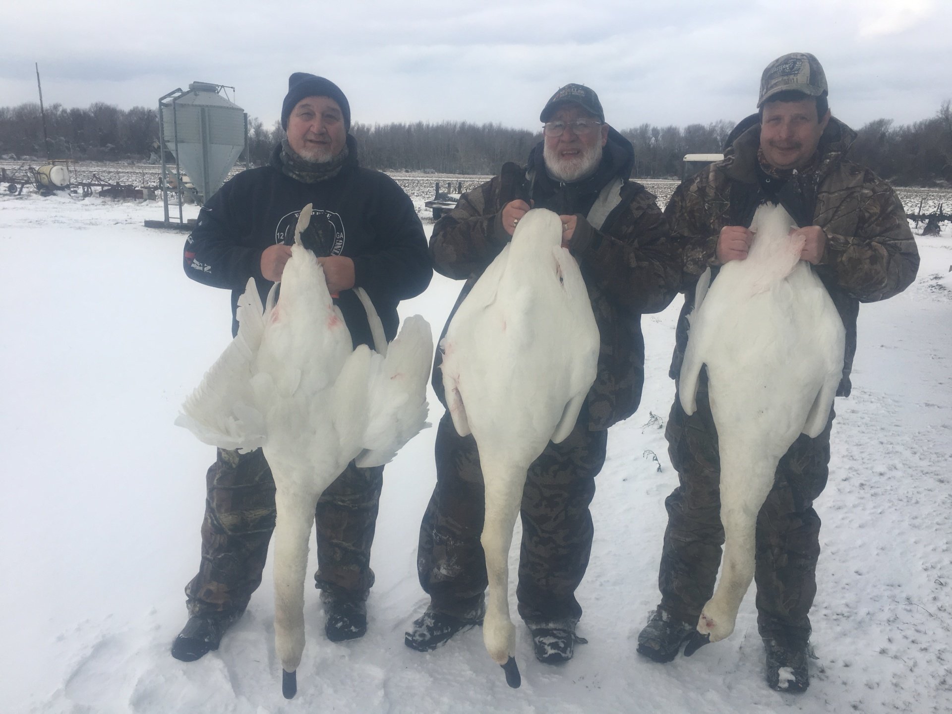 NC duck hunt, North Carolina Duck hunting Guide, Swan Hunting
