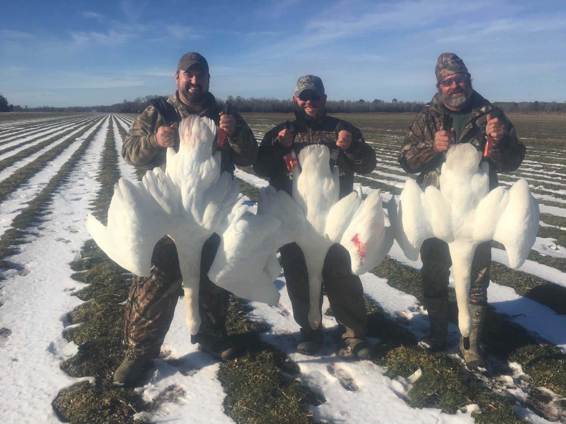 NC duck hunt, North Carolina Duck hunting Guide, Swan Hunting