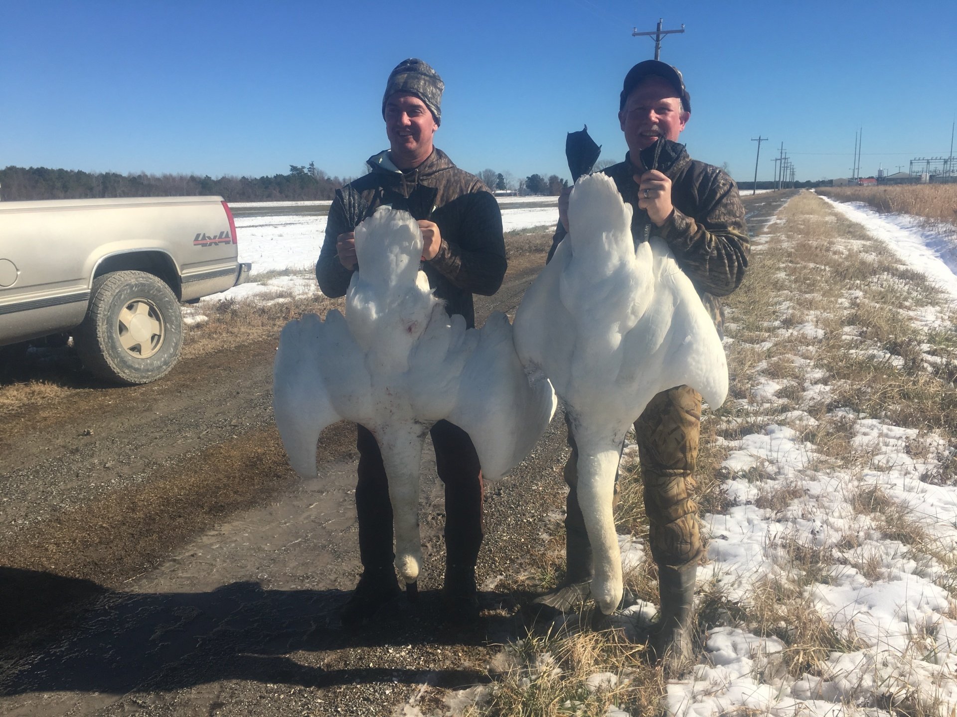 NC duck hunt, North Carolina Duck hunting Guide, Swan Hunting