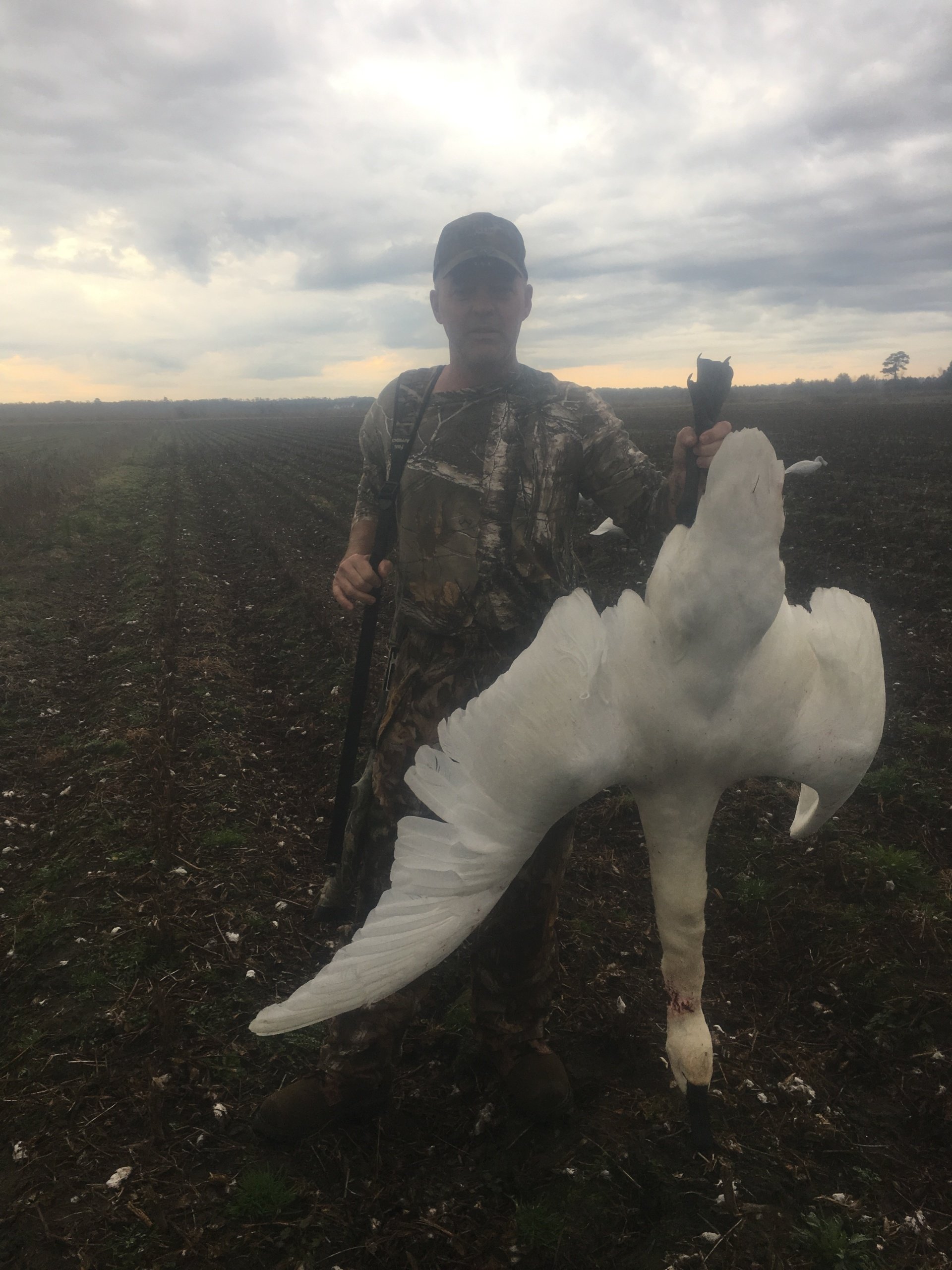 NC duck hunt, North Carolina Duck hunting Guide, Swan Hunting