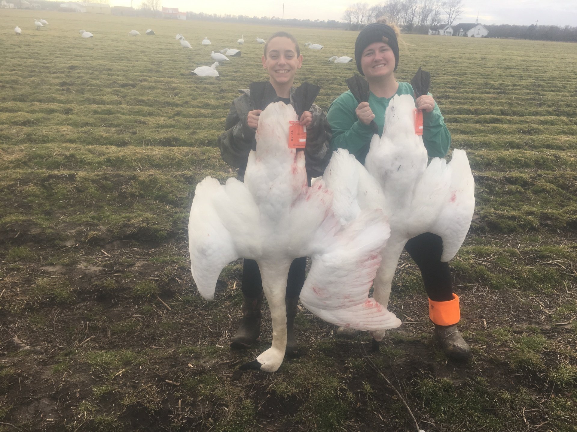 NC duck hunt, North Carolina Duck hunting Guide, Swan Hunting