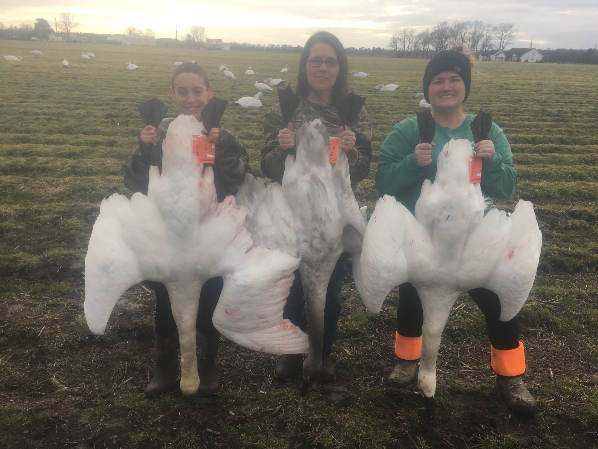 NC duck hunt, North Carolina Duck hunting Guide, Swan Hunting