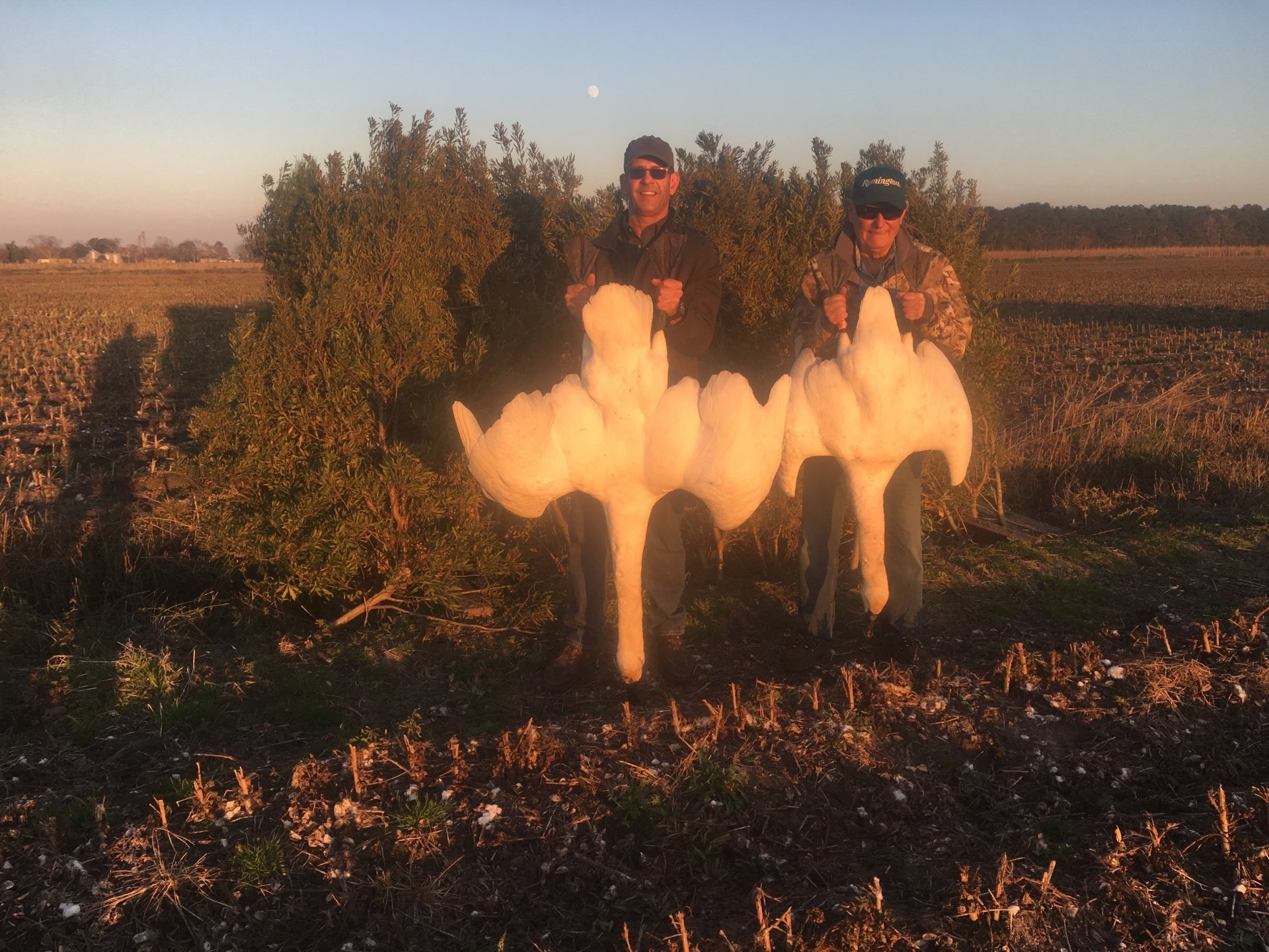 NC duck hunt, North Carolina Duck hunting Guide, Swan Hunting