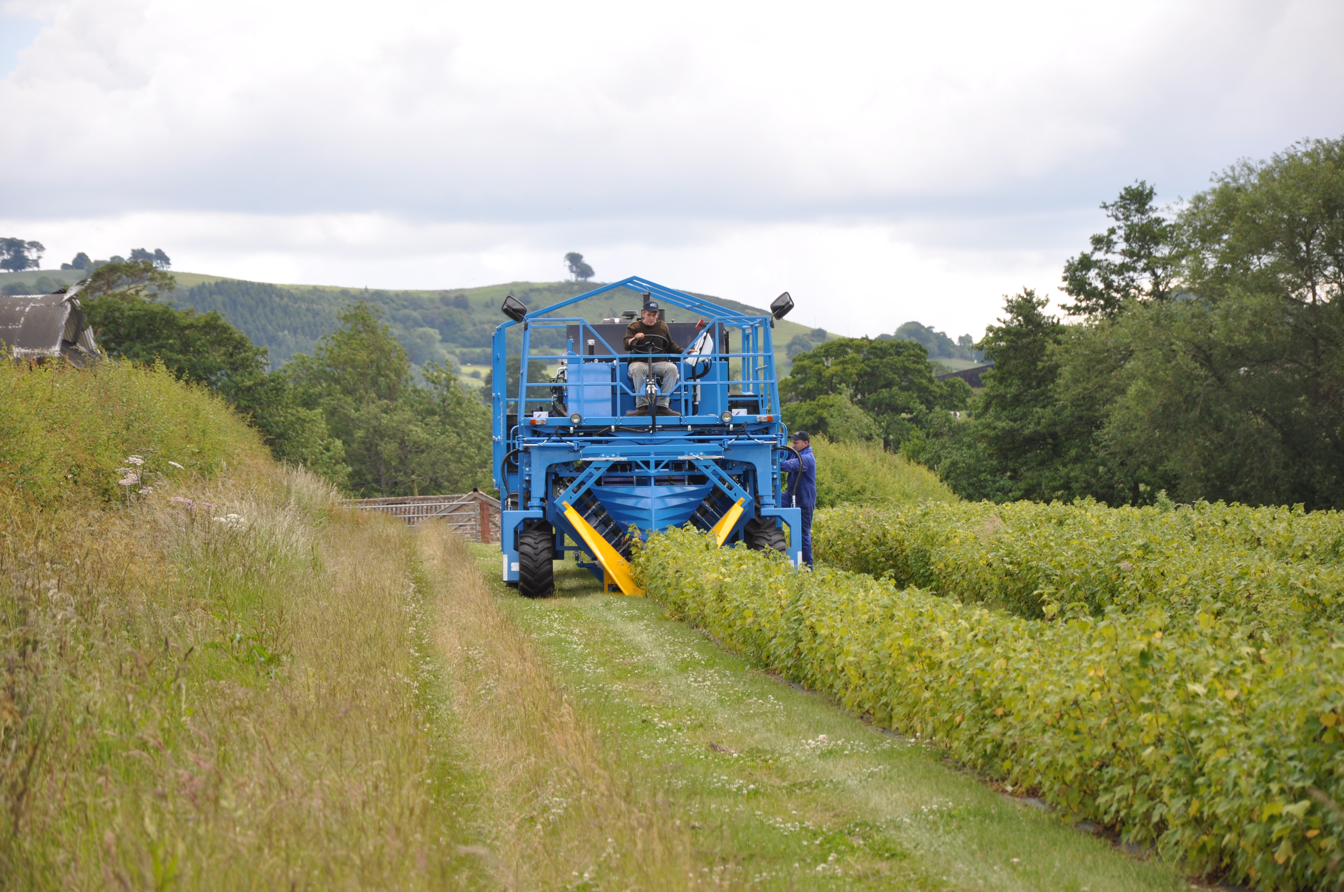 Designers and manufacturers of fruit harvesting machinery: Apples ...