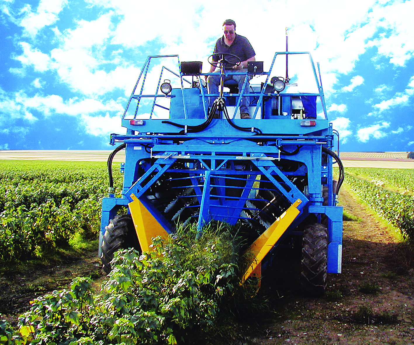 Designers and manufacturers of fruit harvesting machinery: Apples ...