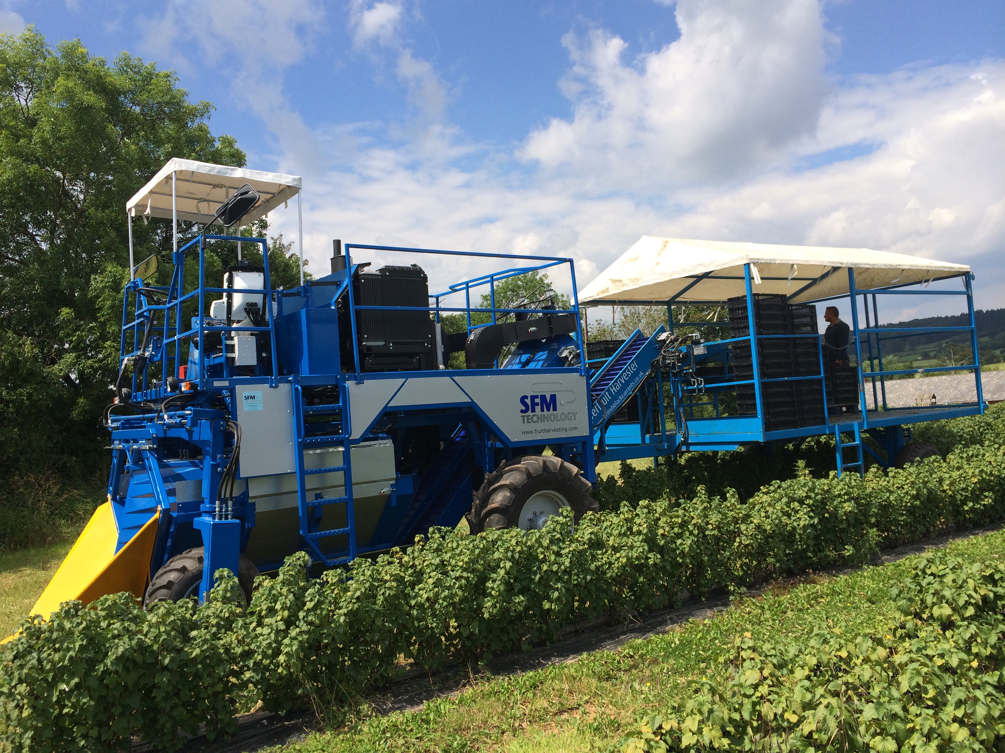 Equipment Harvesting Raspberries