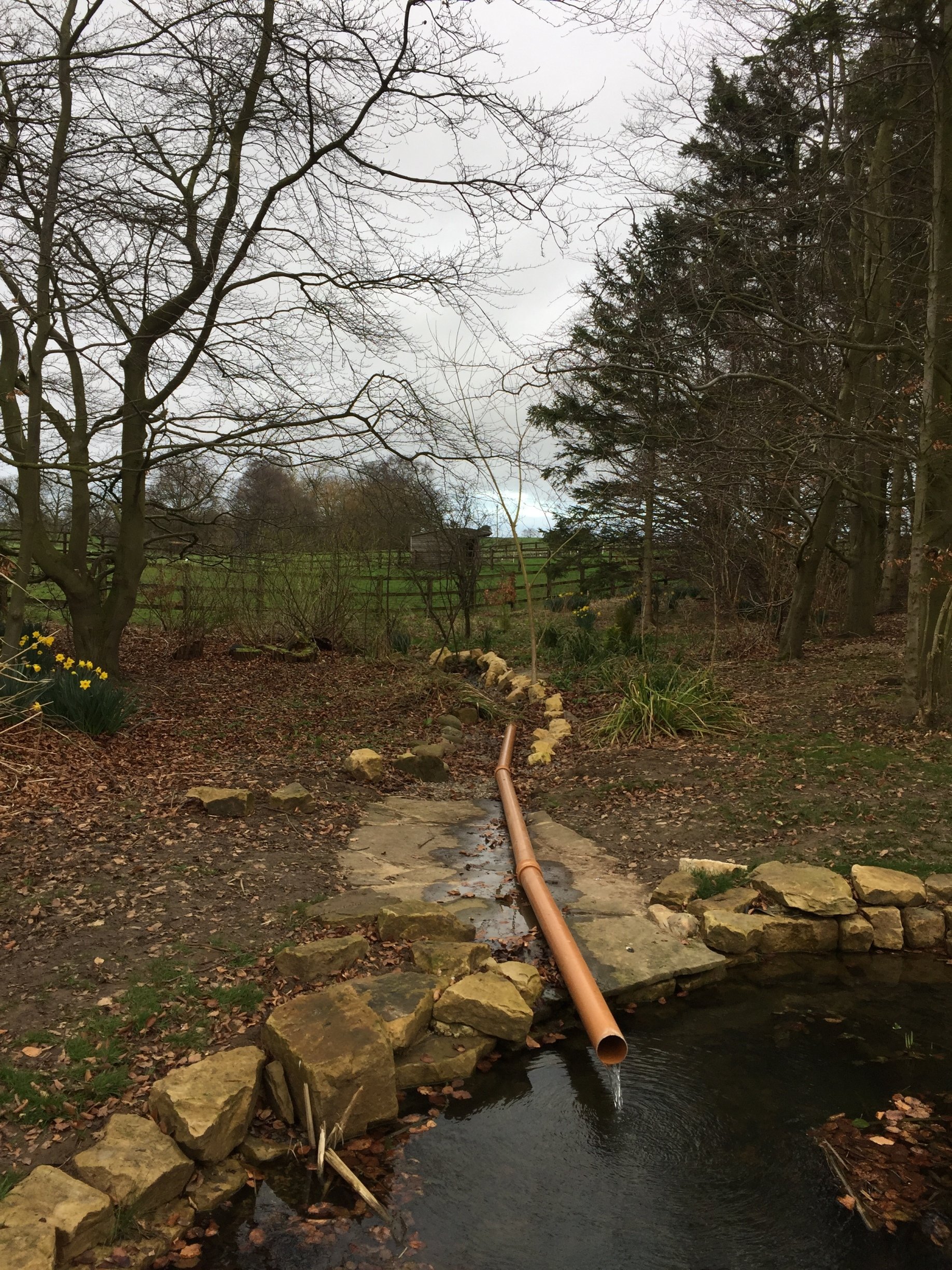General builders | Alexandra Builders Ltd