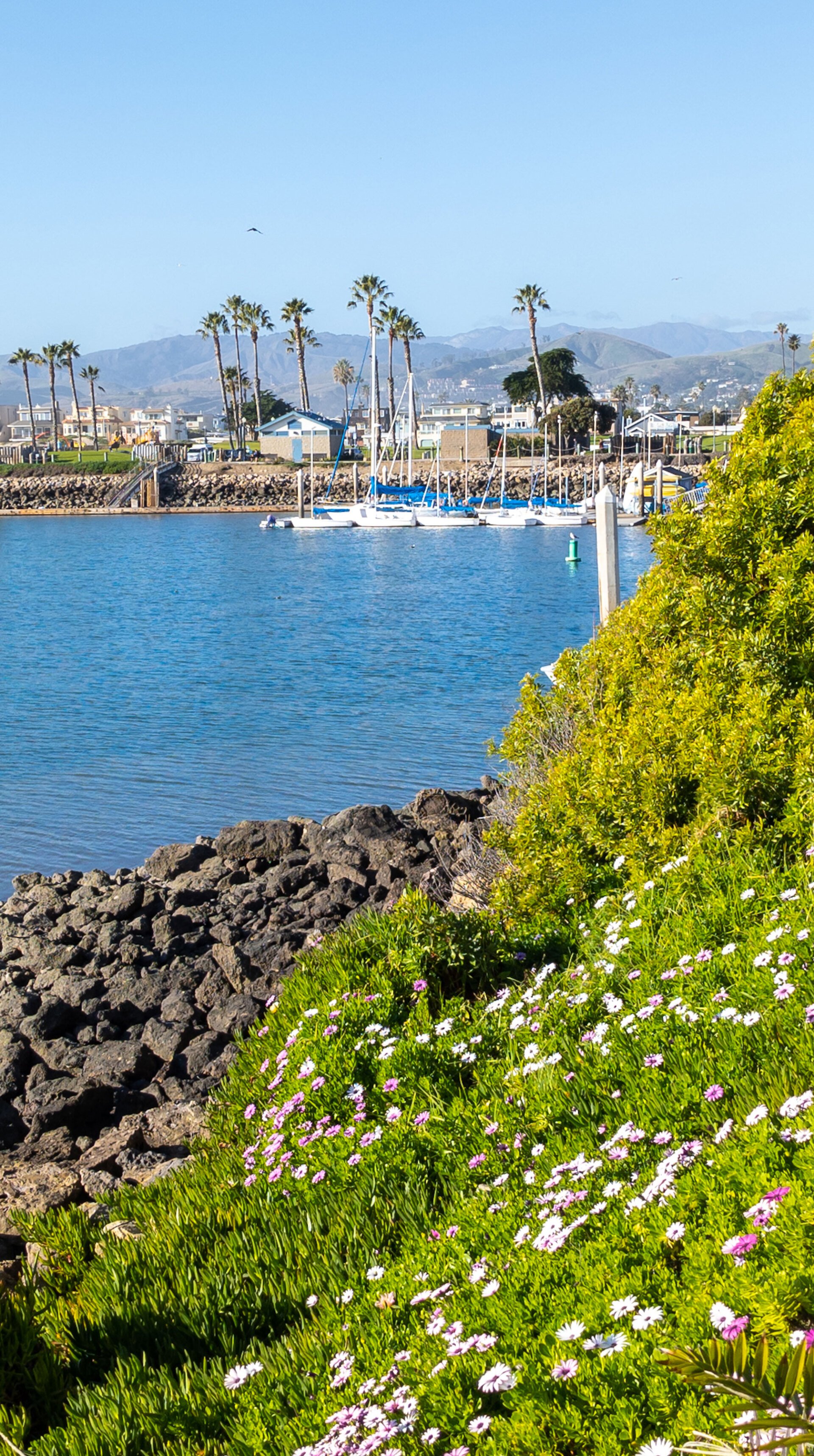 V.I.P. Management Company | Ventura County Property Management