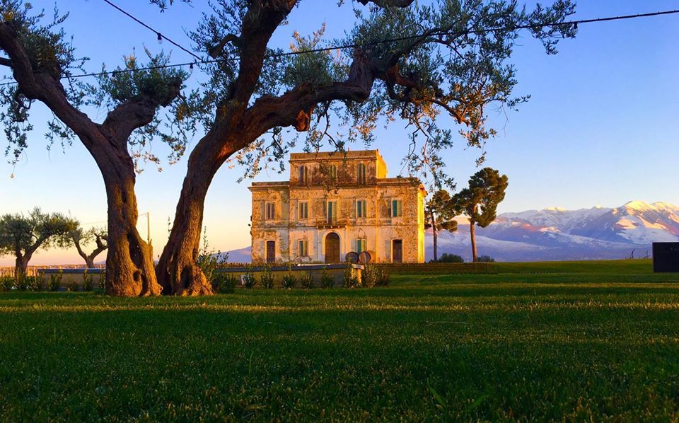 Visita alla cantina Podere Castorani e degustazione vini e cibo