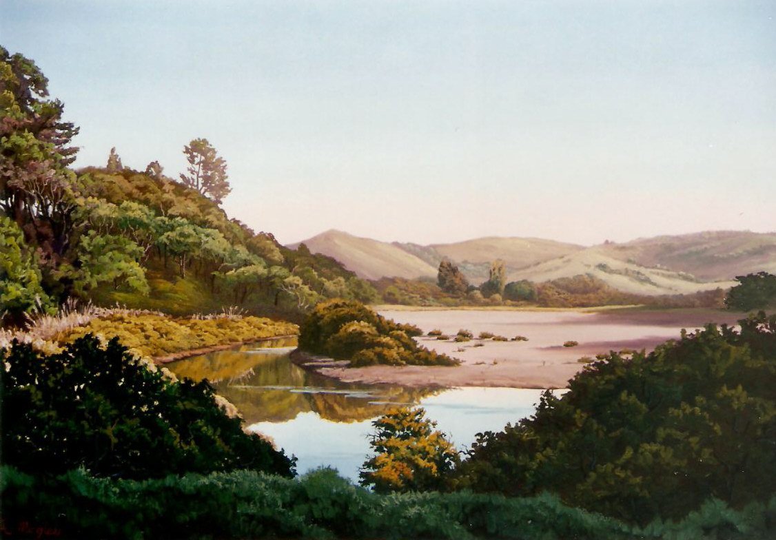 Original New Zealand Artwork | Robin Midgley Artist