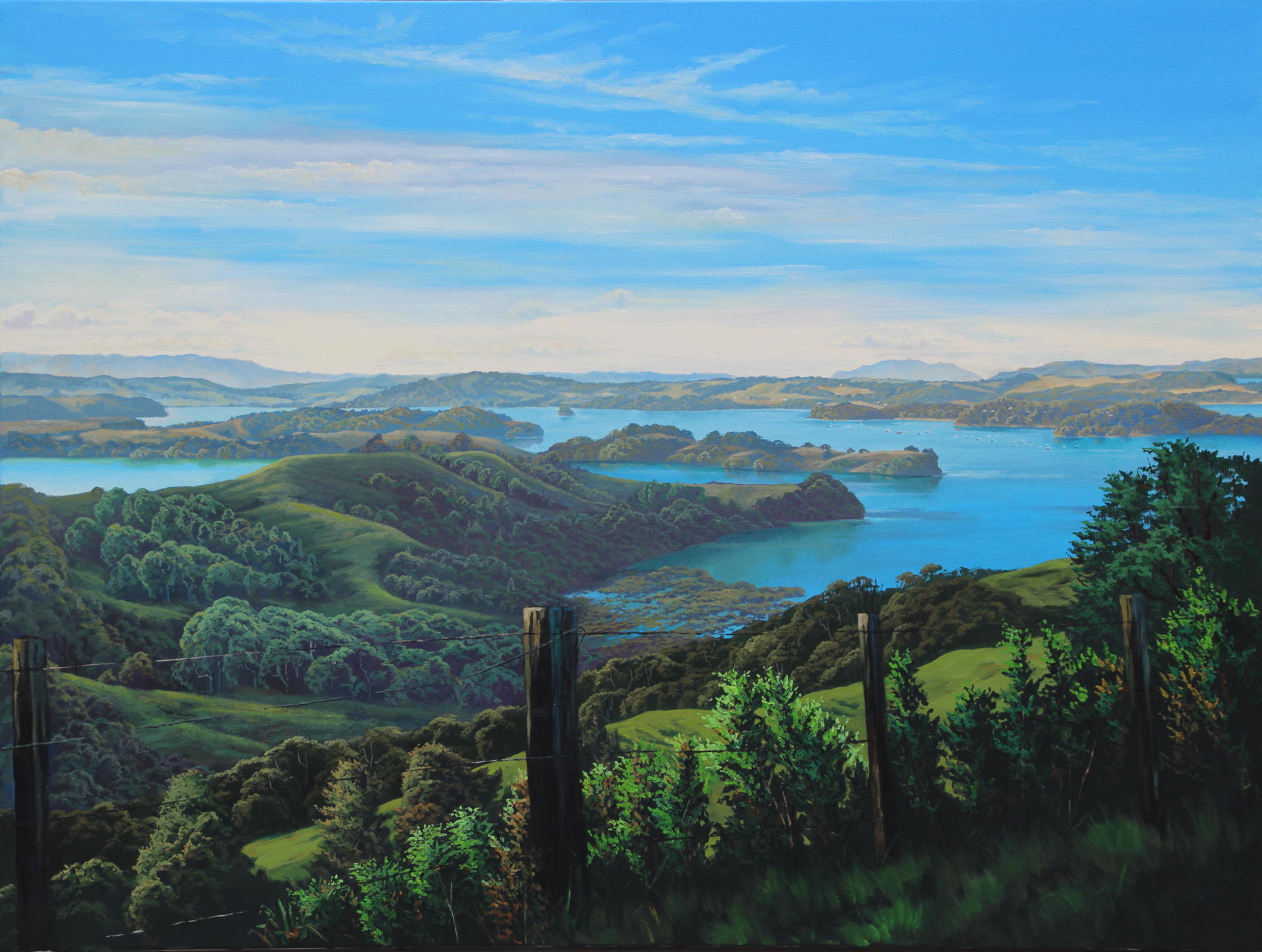 Original New Zealand Artwork | Robin Midgley Artist