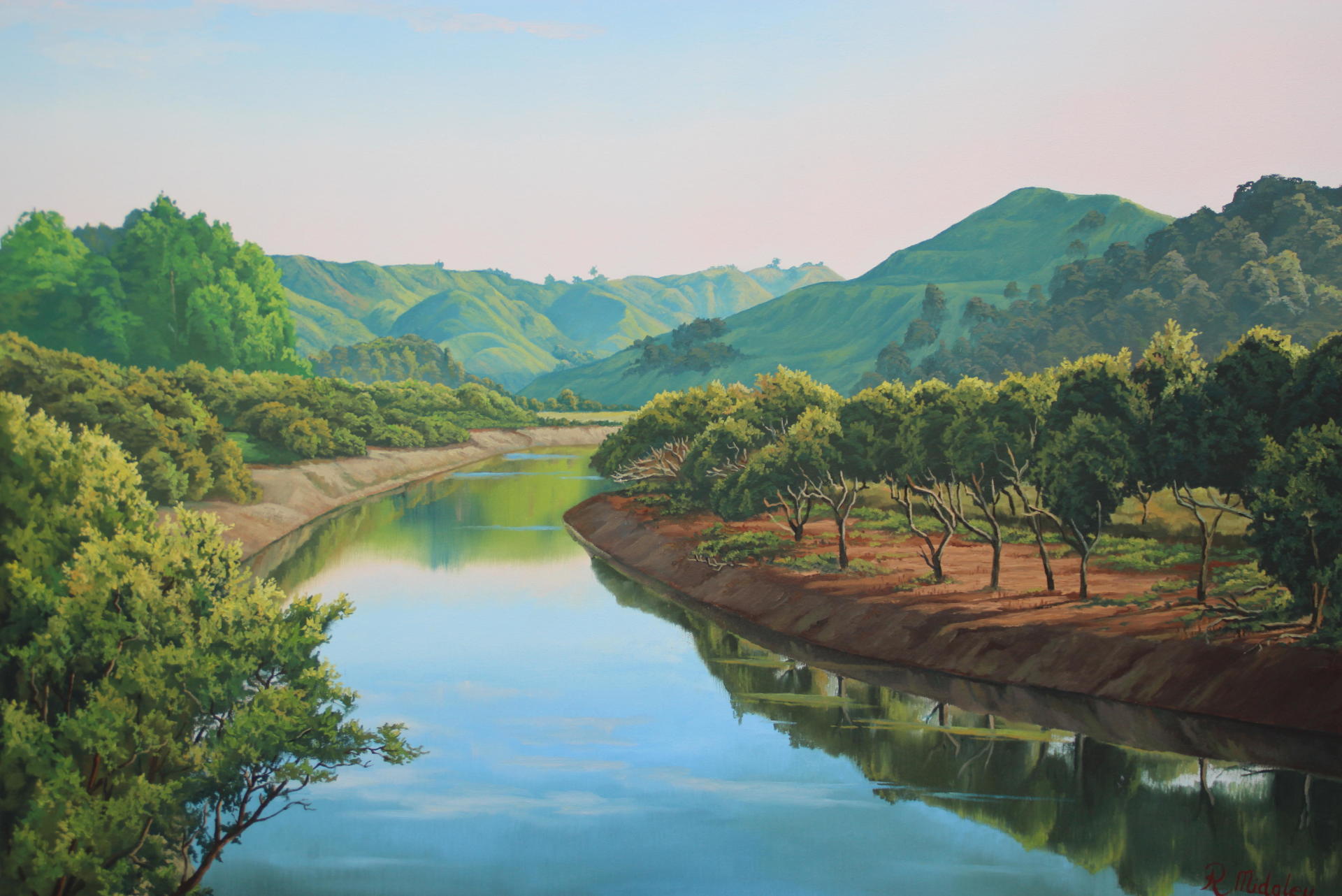 Oil Paintings & Prints for Sale | Robin Midgley Artist | NZ