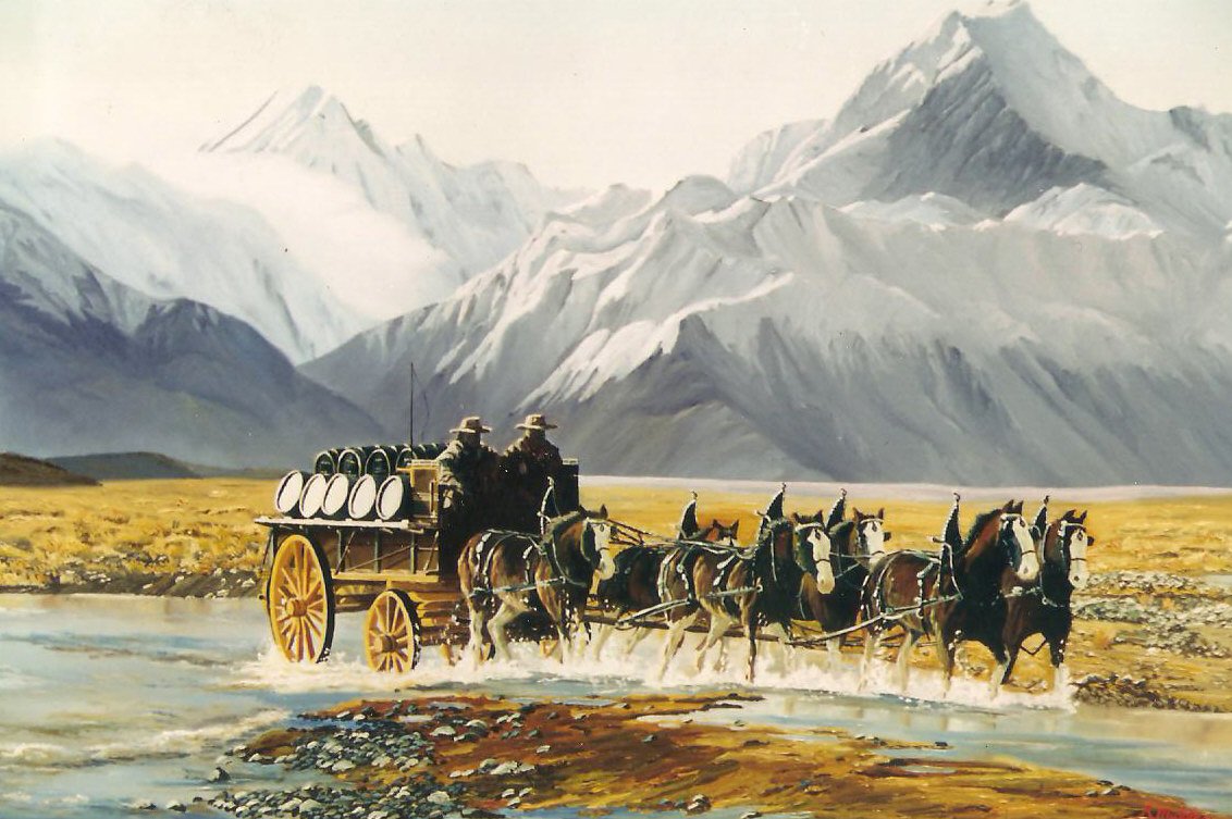 Original New Zealand Artwork | Robin Midgley Artist