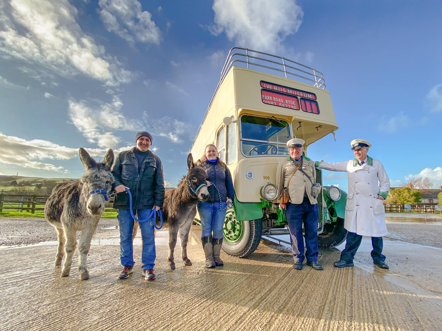 MooksGoo's Portfolio - Isle of Wight Donkey Sanctuary Designs