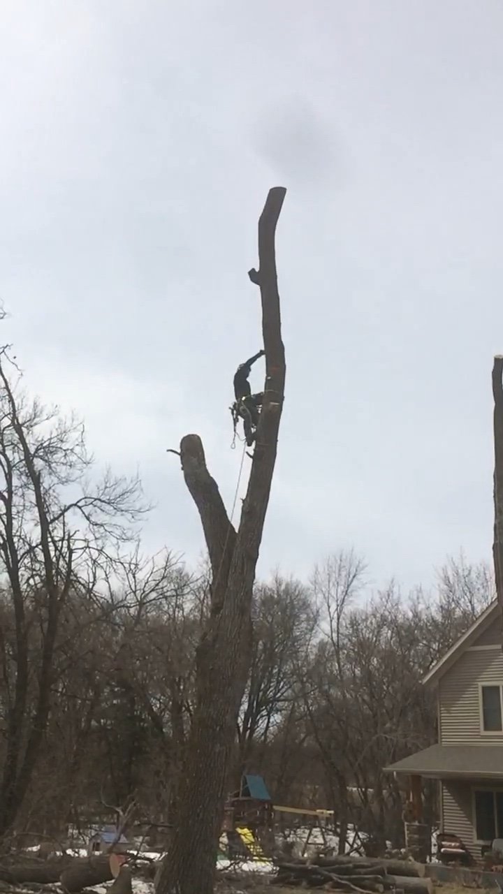 HOME [www.gibbontreeco.com]