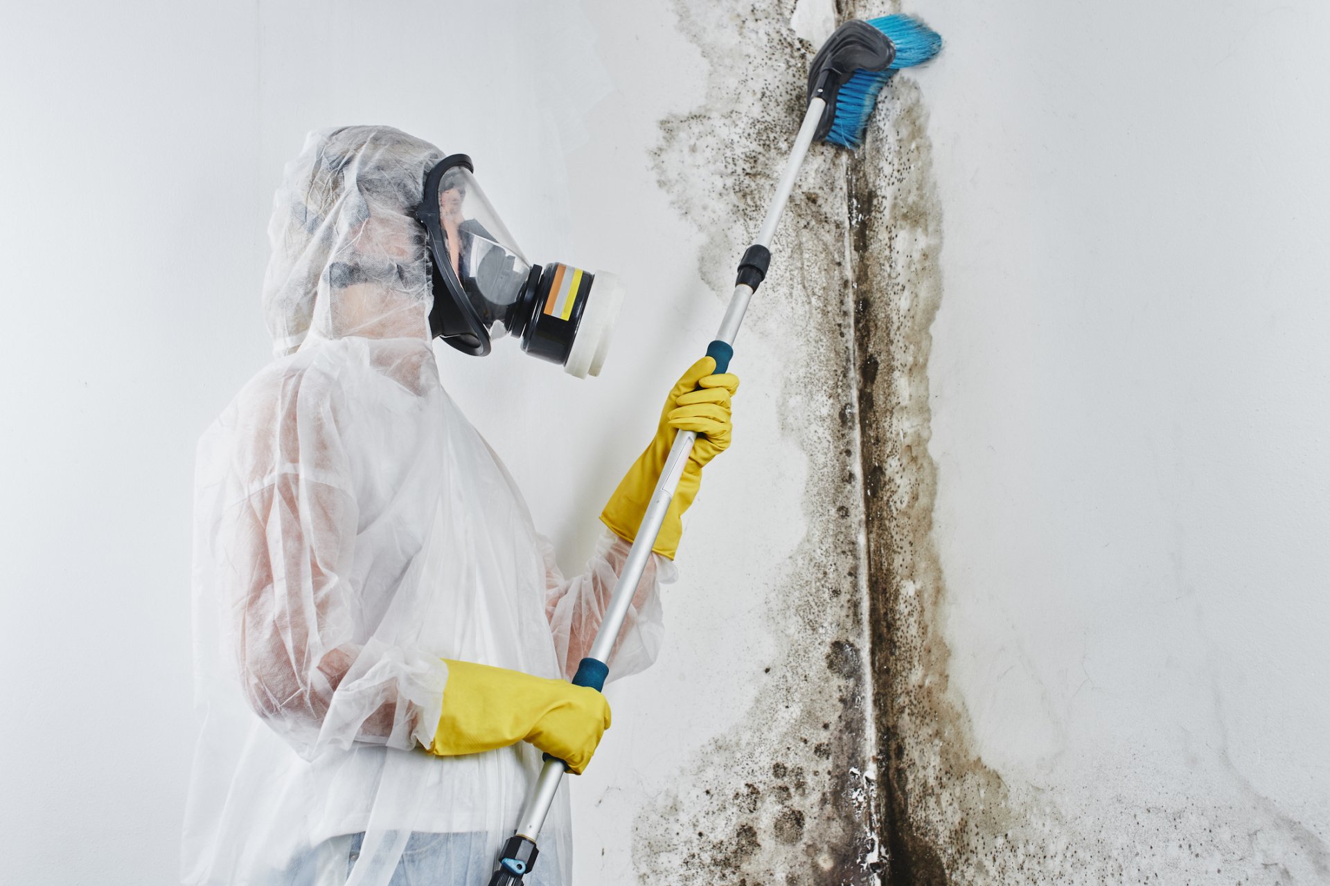 MOLD REMOVAL DO IT YOURSELF OR HIRE A PRO 
