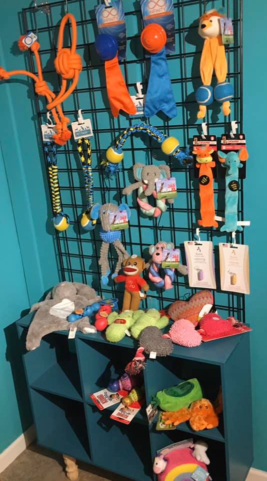 Animal Care Services | Fort Mill, SC | Wags and Whiskers Stay and Play