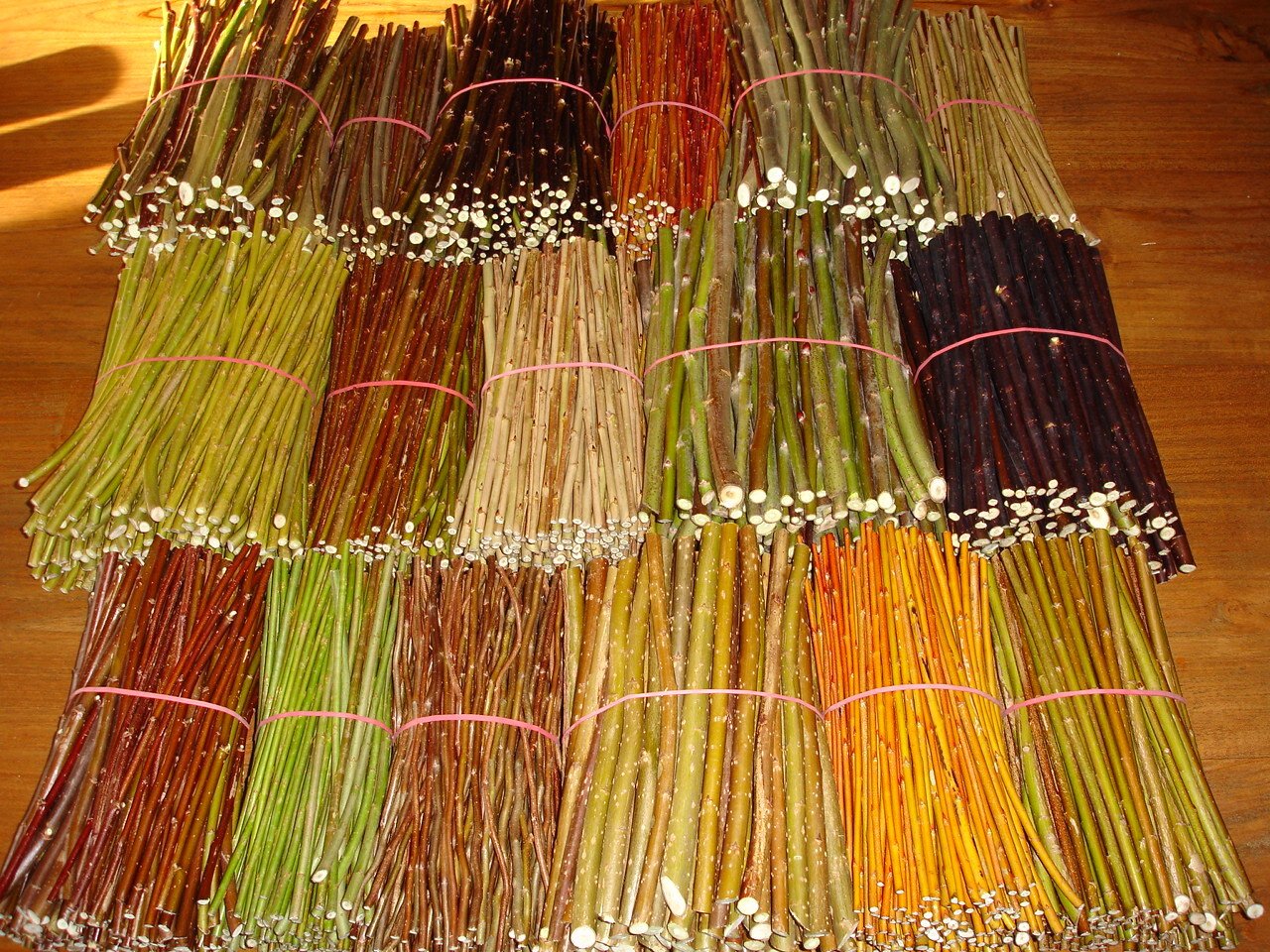 Living Willow Structures, Willow Tunnel, Willow Wigwam, Willow Dome