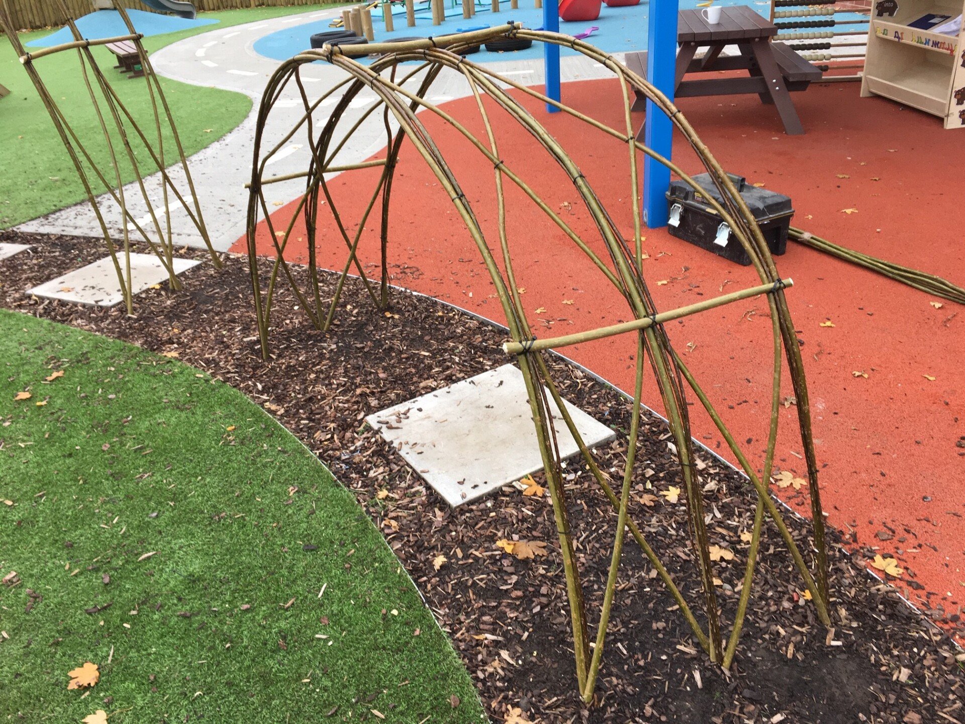 Willow Planting & Maintenance | Yorkshire Willow