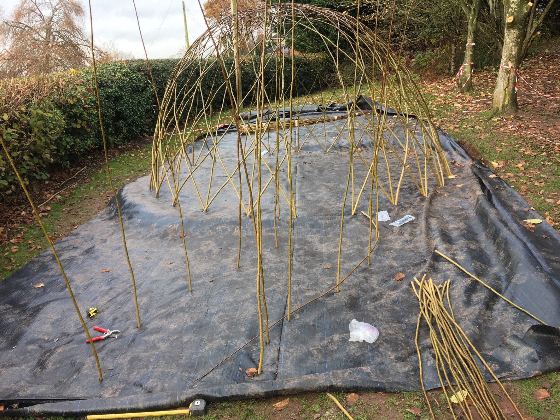 Willow Planting & Maintenance | Yorkshire Willow