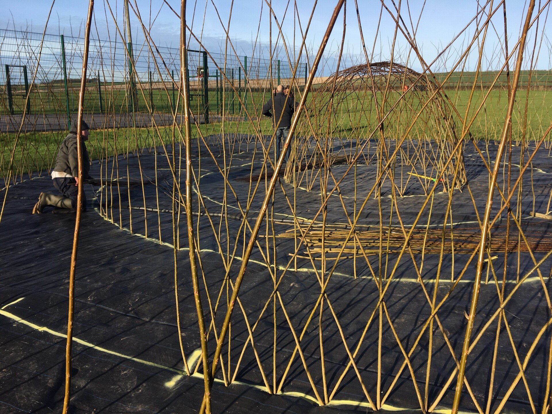 Living Willow Structures, Willow Tunnel, Willow Wigwam, Willow Dome