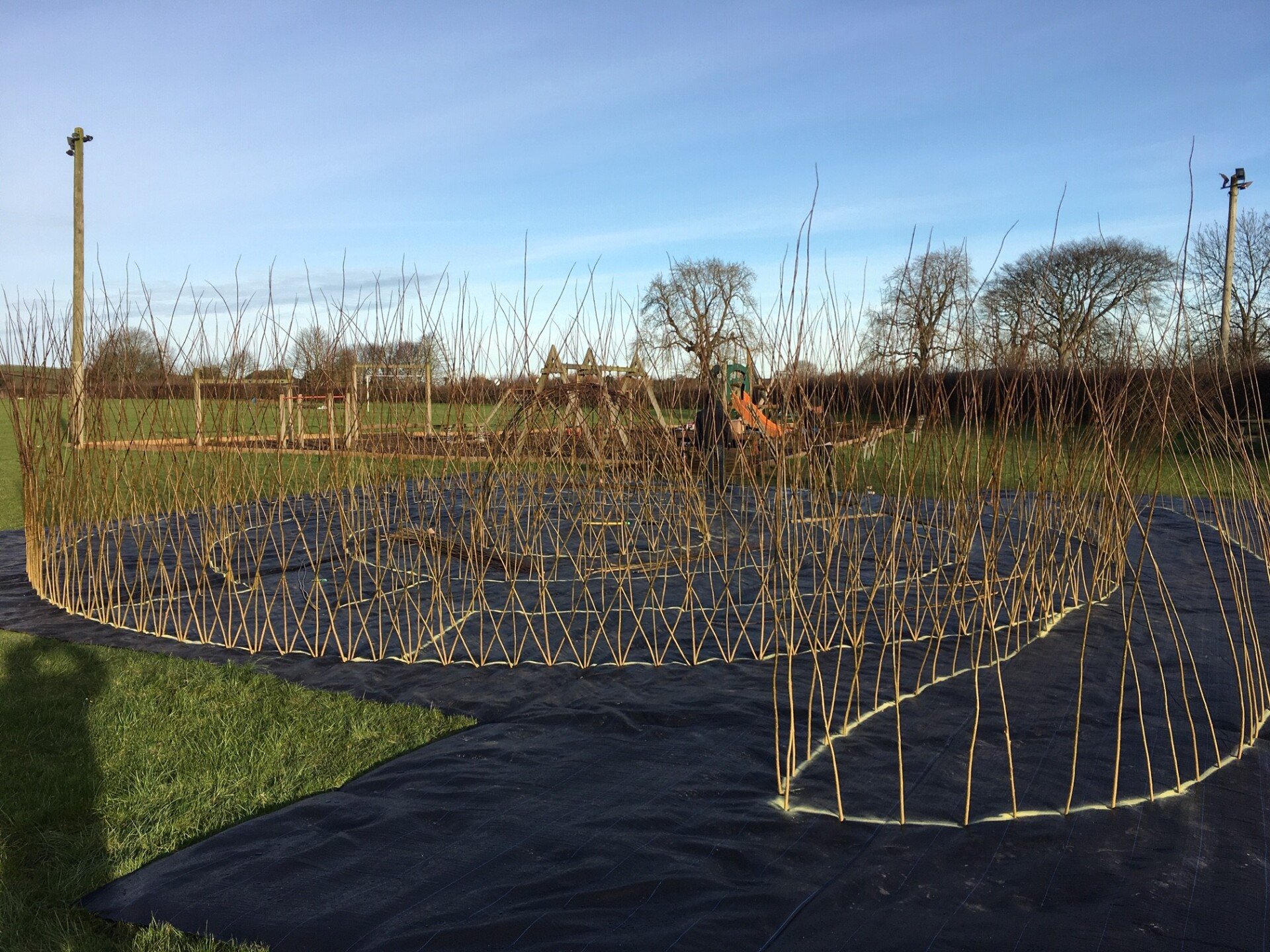 Sale of Willow Cuttings Willow Rods and Living Willow Structures
