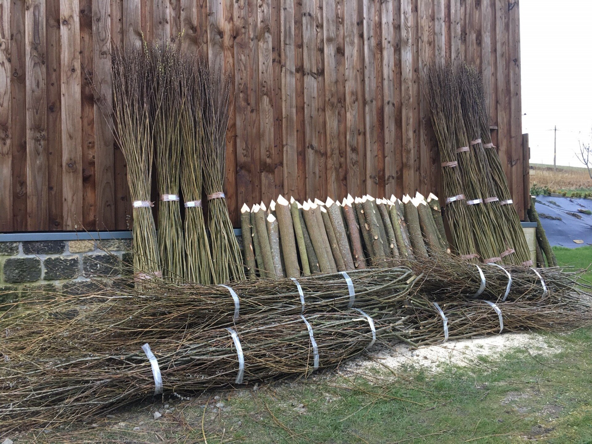 Willow Spiling Riverbank Stabilisation