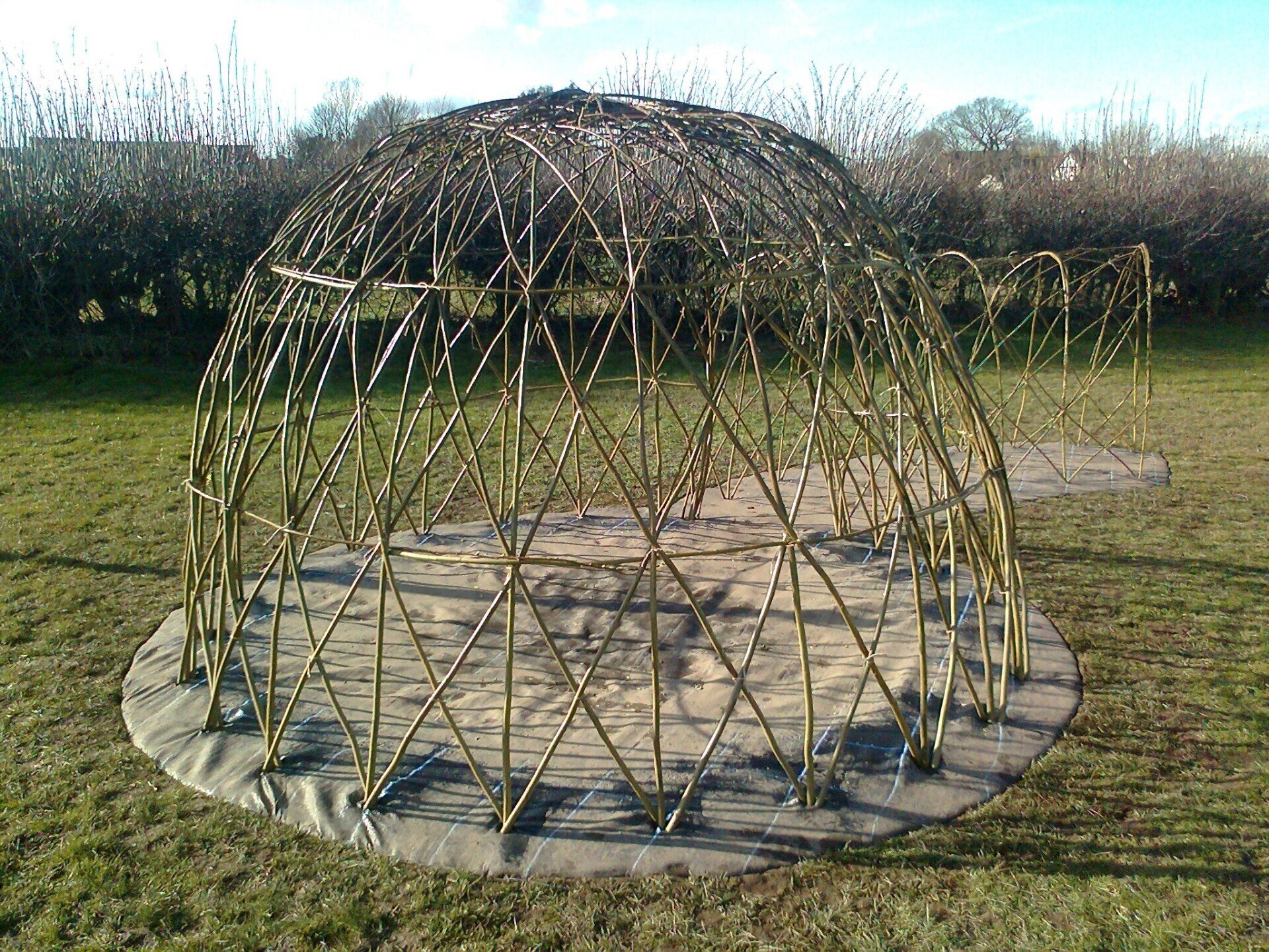Living Willow Structures, Willow Tunnel, Willow Wigwam, Willow Dome