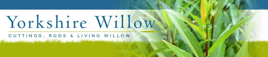 Willow Spiling Riverbank Stabilisation