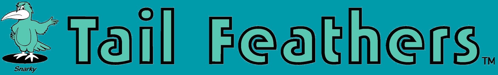 That's For The Birds | Bird Control Systems Deterrent | Birdie Blocker