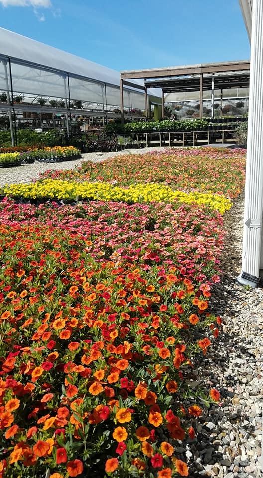 Gallery | Cherry Valley Gardens | Middleville, MI