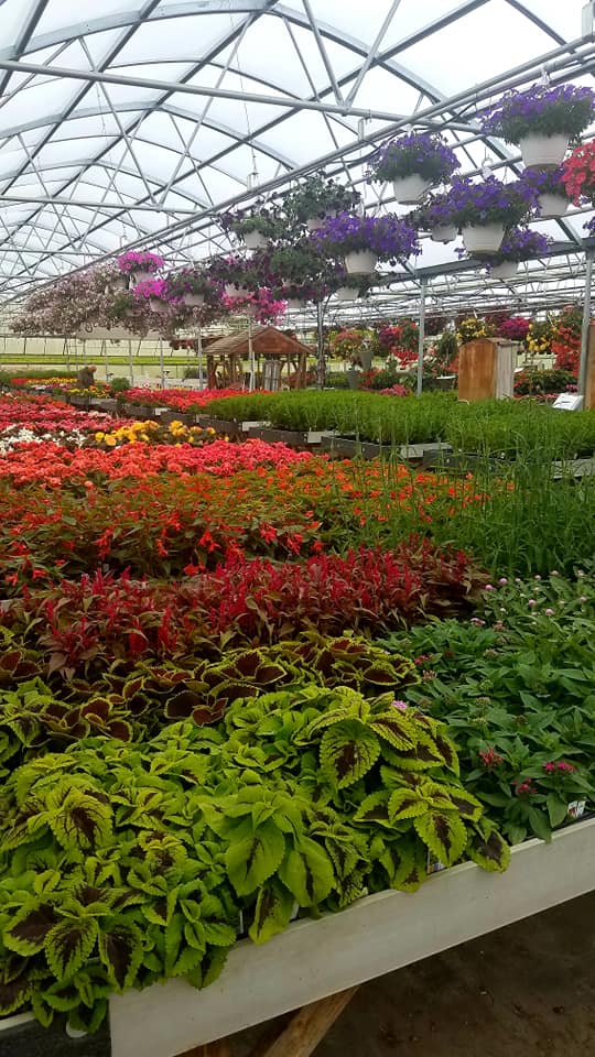 Gallery | Cherry Valley Gardens | Middleville, MI