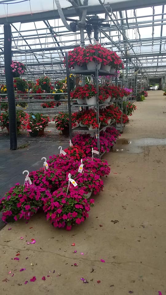 Gallery | Cherry Valley Gardens | Middleville, MI