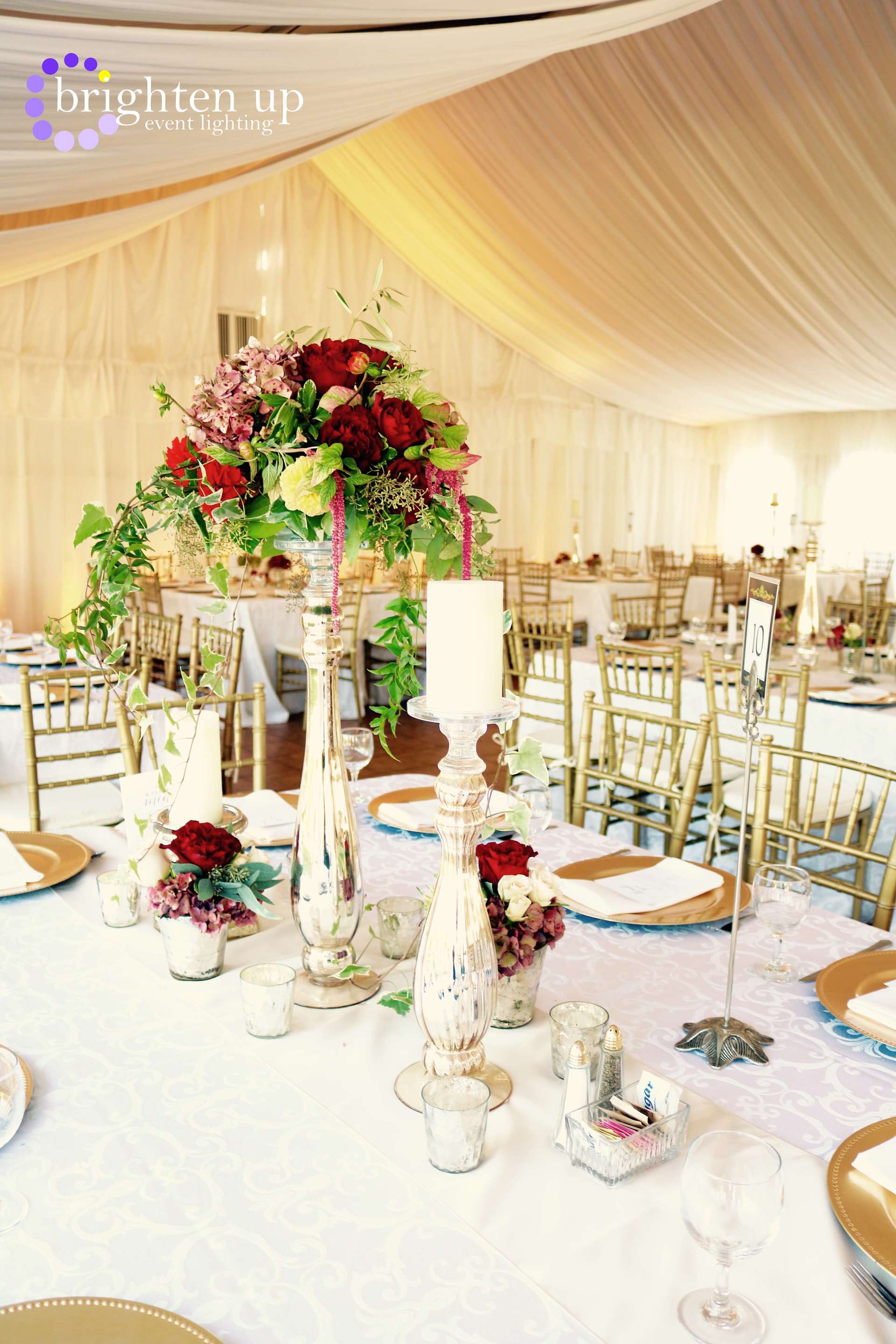 Event Lighting Photo Gallery, Wedding Up lighting Ideas