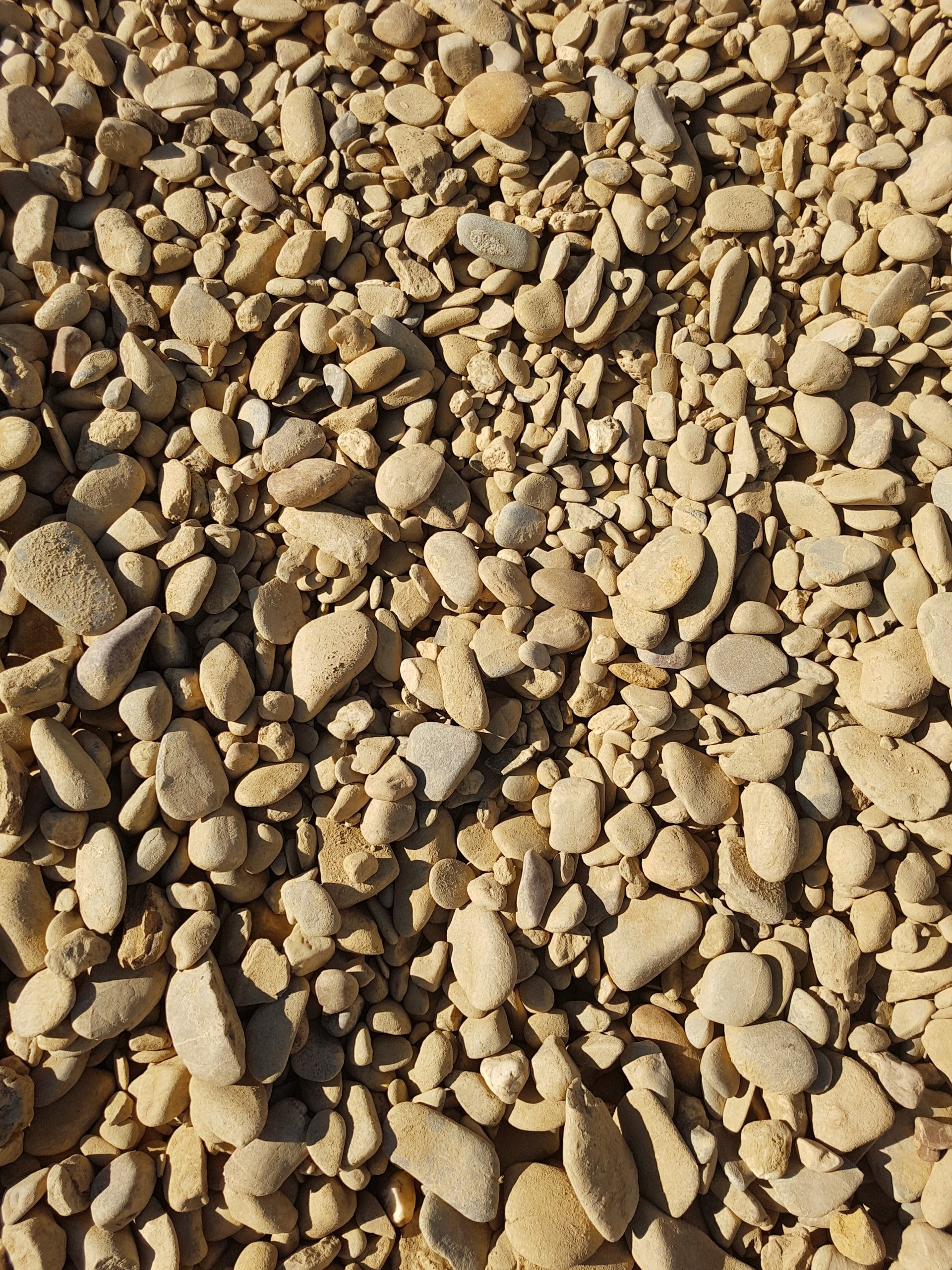 KLM: Concreting. Soil Yard. Earthworks. Nursery.