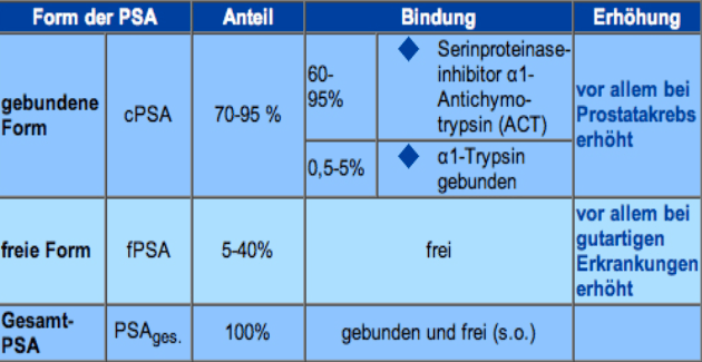 PSA-Wert (Prostataspezifisches Antigen)