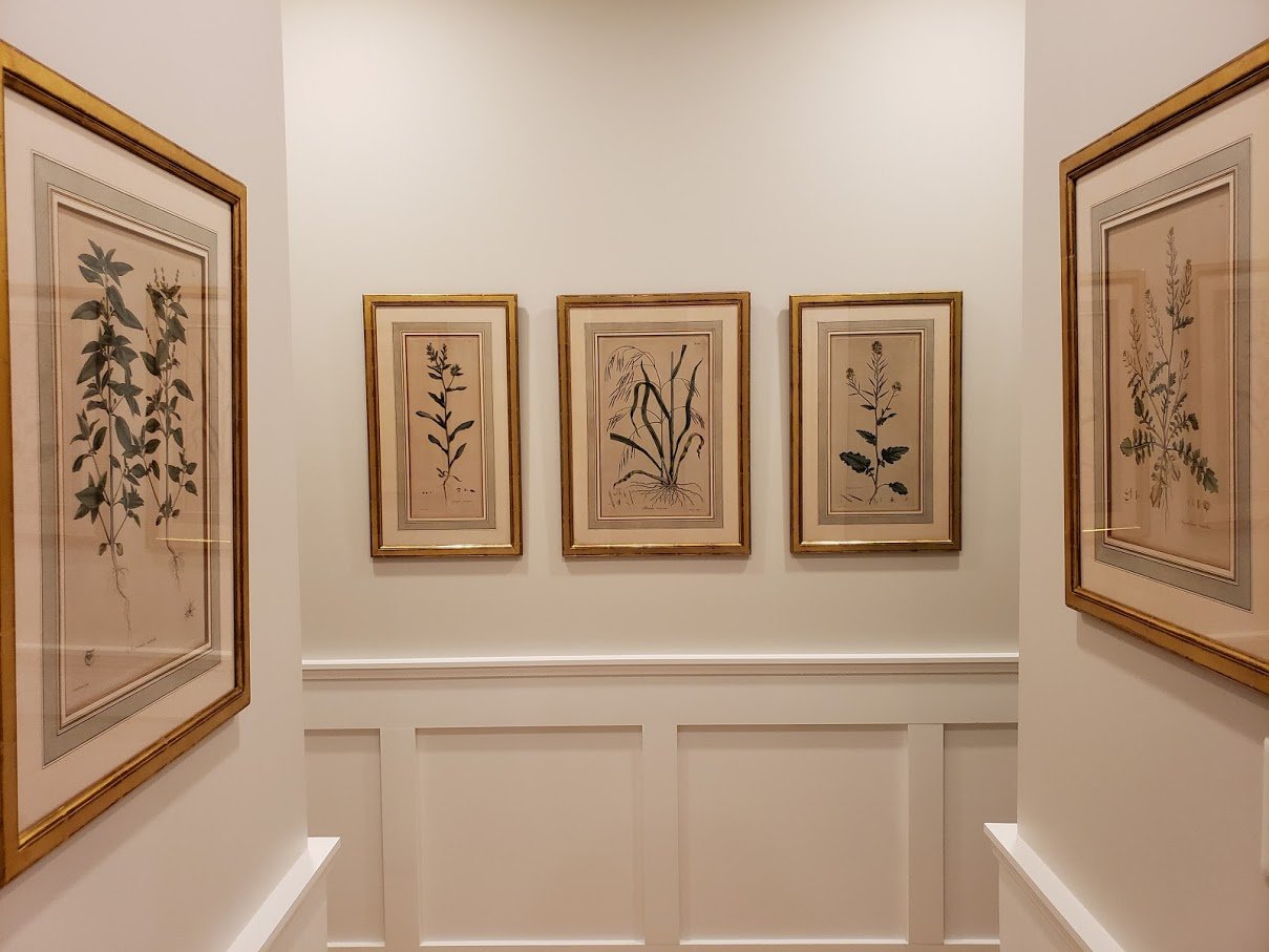 french-matting - Orange, VA - Buchanan and Kiguel Fine Custom Picture ...