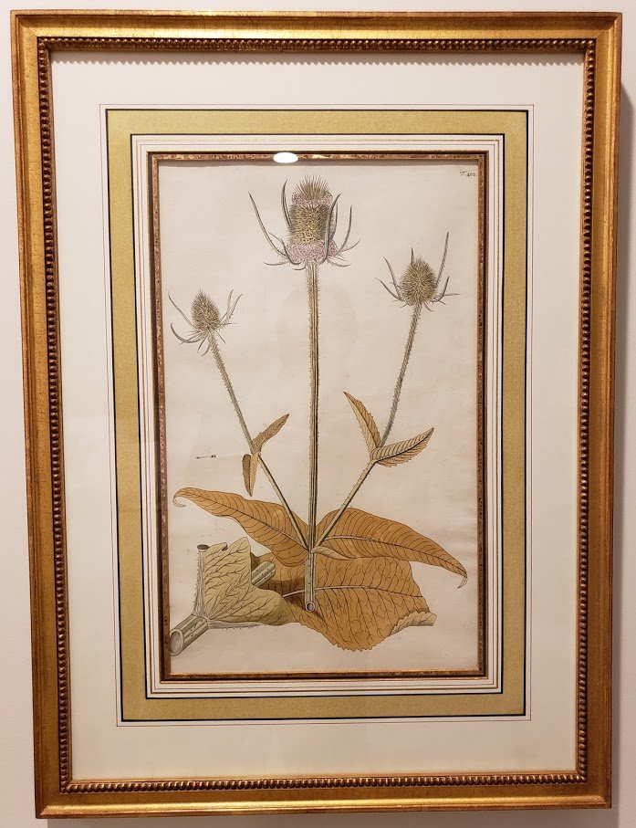 french-matting - Orange, VA - Buchanan and Kiguel Fine Custom Picture ...