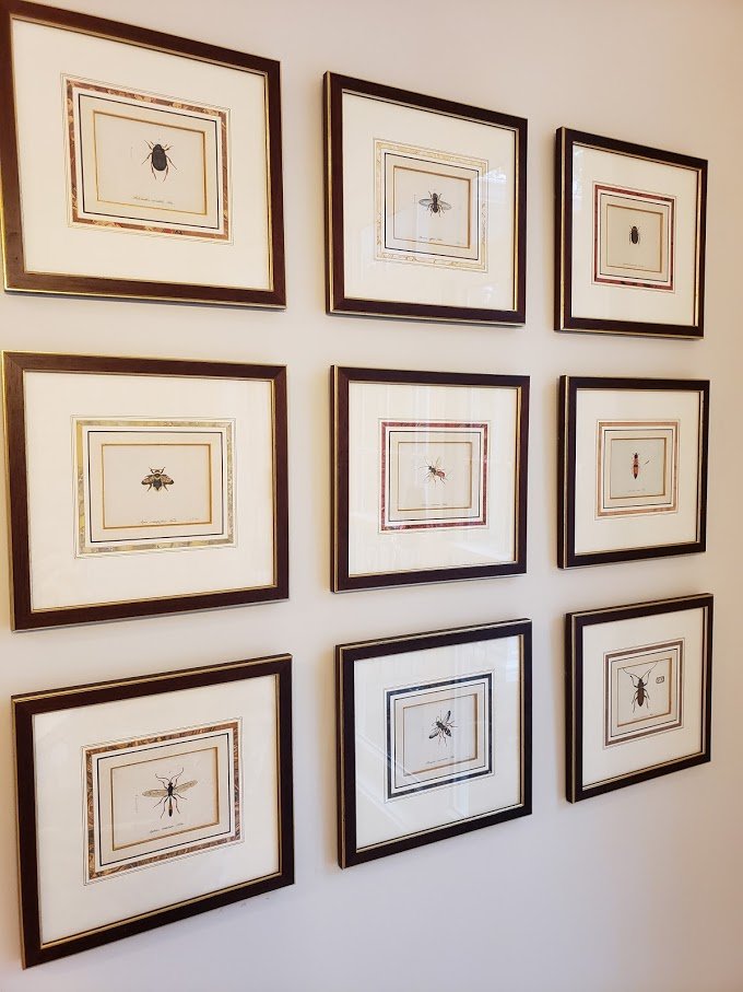 french-matting - Orange, VA - Buchanan and Kiguel Fine Custom Picture ...