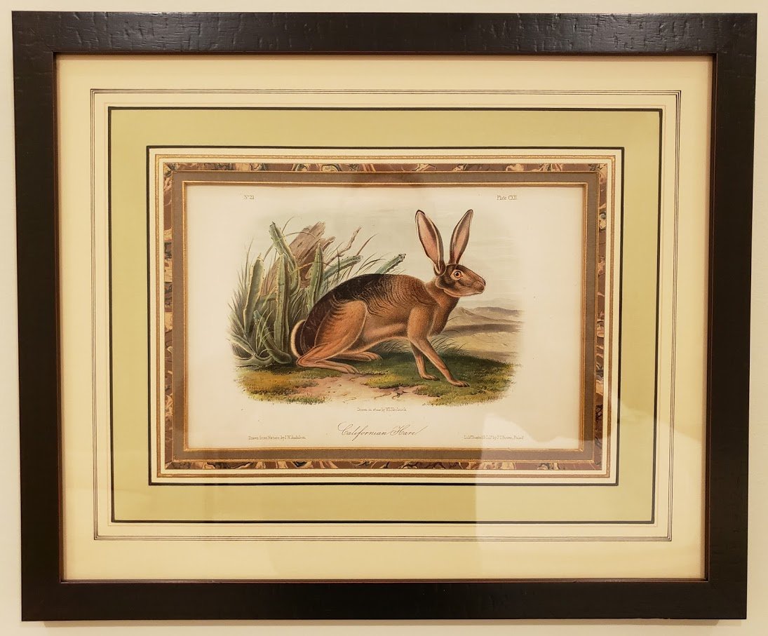 french-matting - Orange, VA - Buchanan and Kiguel Fine Custom Picture ...