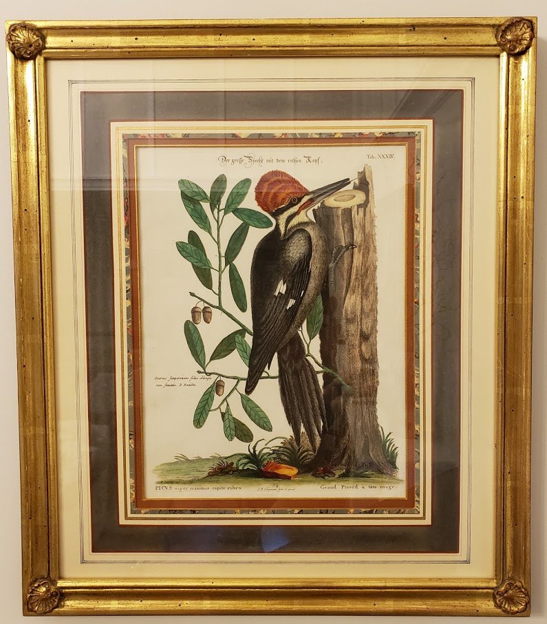 french-matting - Orange, VA - Buchanan and Kiguel Fine Custom Picture ...