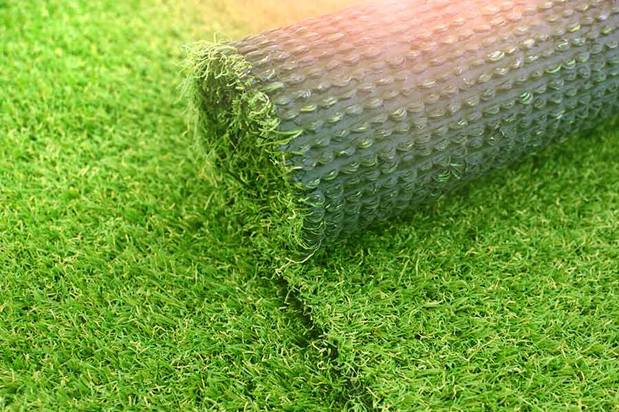 Turf in Cairns | Trinity Landscape