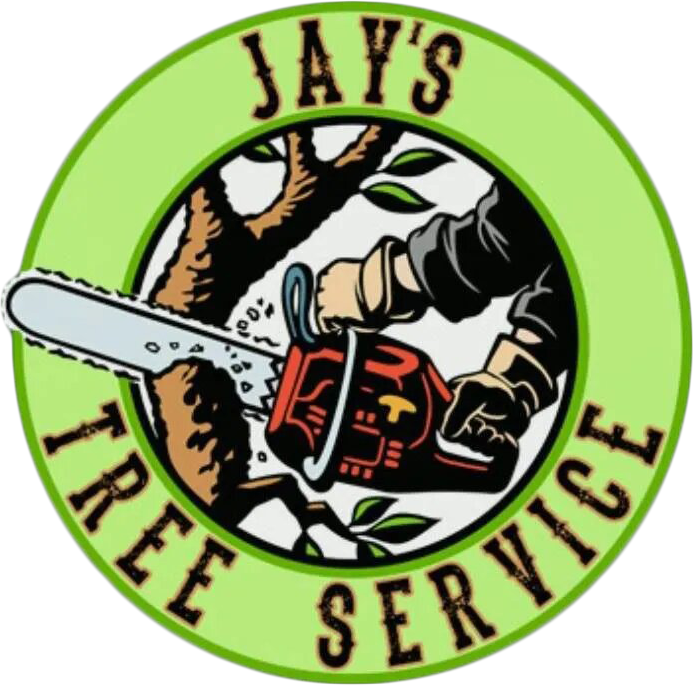 Tree Company | Roanoke, VA | Jay's Tree Service