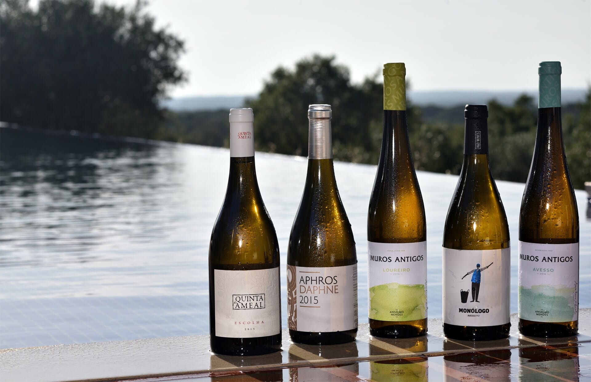 Freguesia de Loivos da Ribeira e Tresouras